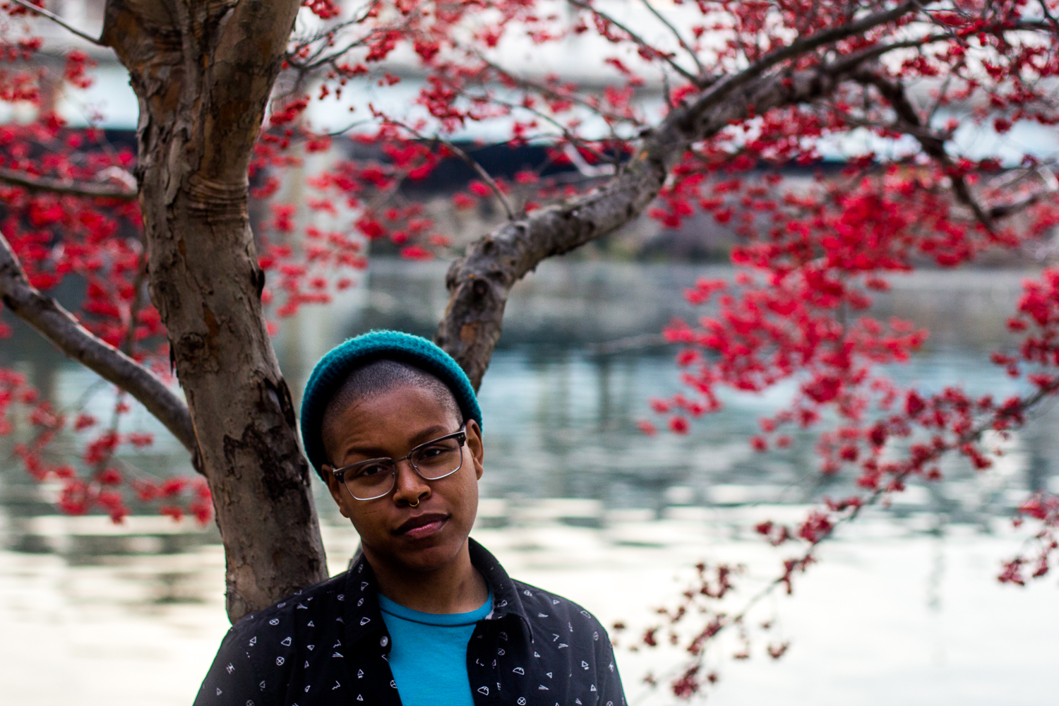 PRINCE DIED FOR FEM BOYS, by Cyree Jarelle Johnson - The Wanderer